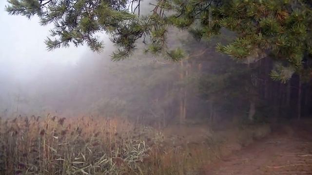 Где в обнимку туманы с рассветом