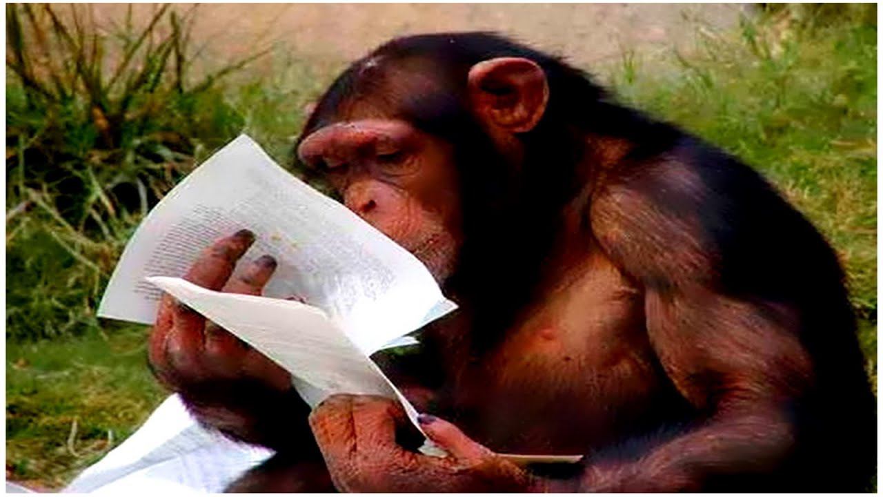 Отвечаю на вопросы атеиста. Он задал 3 вопроса на которые никто не может ответить.