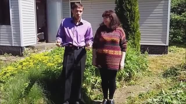 Видео отзыв. Газон под ключ. Талдомский район