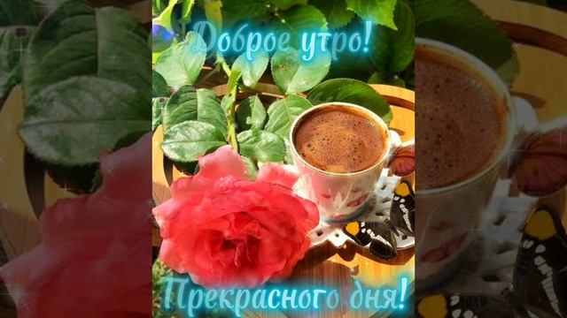 Доброе утро☀ ?⏰ Прекрасного дня ?Музыкальная открытка с позитивом и любовью для родного человека.