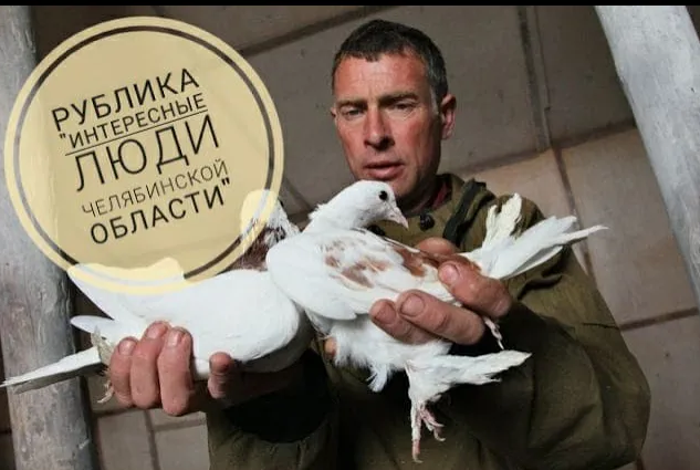 Четвертак Николай_ Разведение породистых голубей. г. Чебаркуль.mp4