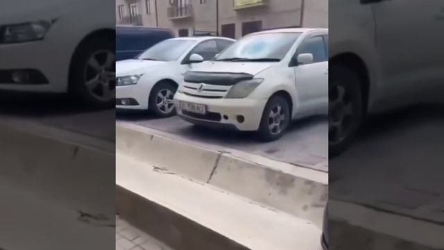 VID_20221219_224429_572.mp4