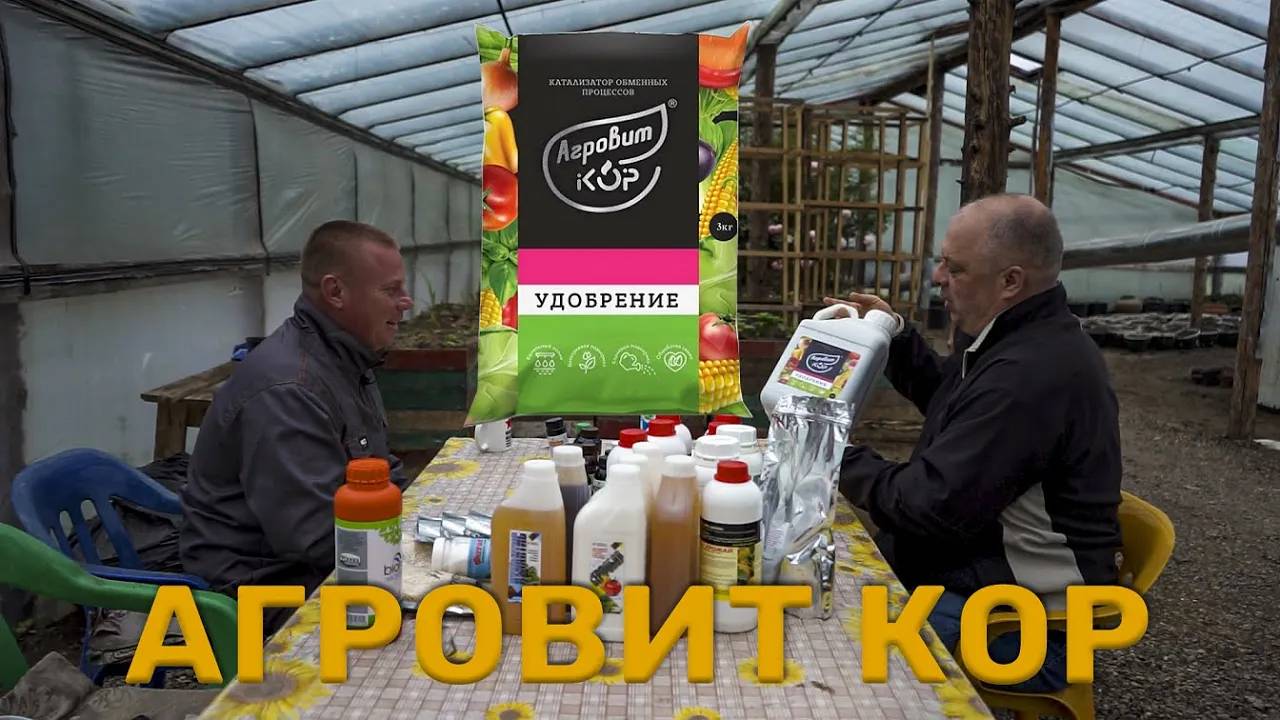 Агровит кор для выращивания самой большой тыквы🎃