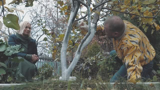 Осенние хлопоты на даче. Яблоня_теплица_удобрение хвойников (фильтр)