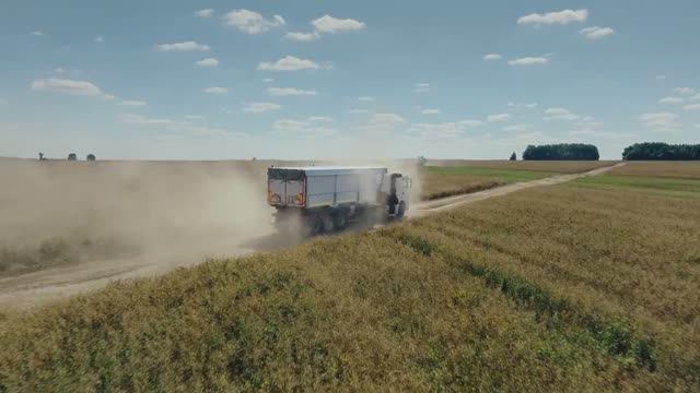 Полуприцеп-зерновоз Тонар-9594