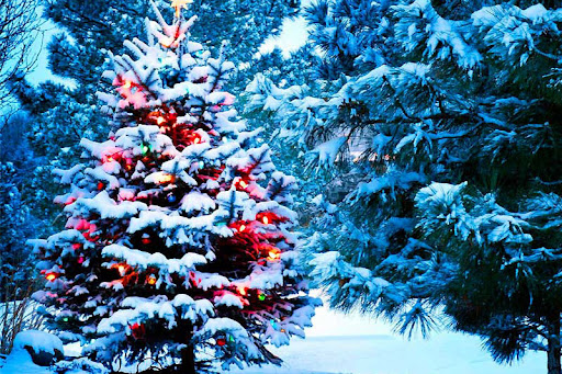 ТРАДИЦИИ ЗИМНИХ ПРАЗДНИКОВ. ВЕДЬМИНА ИЗБА. ИНГА ХОСРОЕВА.mp4