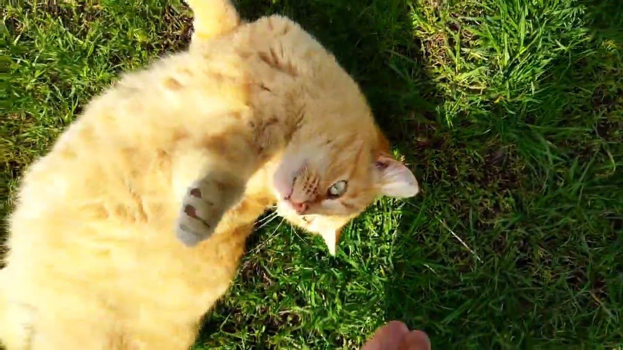 В Акшенас к другу Валере. Чай на природе, ремонт радиоприемника и 38км пути!