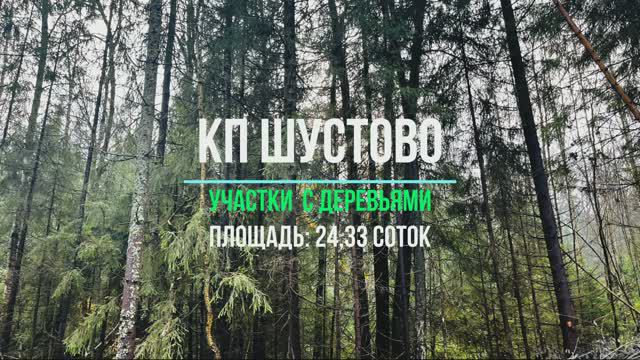 Шустово - уч.107, уч.108