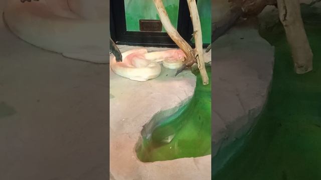 я в зоопарке