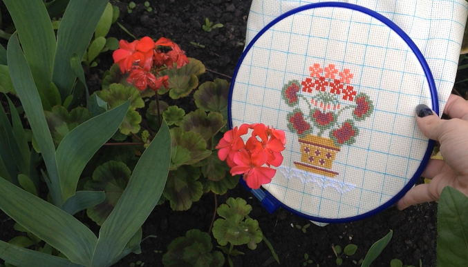 Совместный проект от Совиного леса "Комнатные цветы" / вышивка крестиком