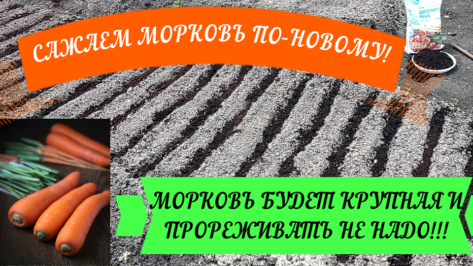 САЖАЕМ МОРКОВЬ ПО-НОВОМУ!МОРКОВЬ БУДЕТ КРУПНАЯ И ПРОРЕЖИВАТЬ НЕ НАДО!#морковь#посадкаморкови#прорежи