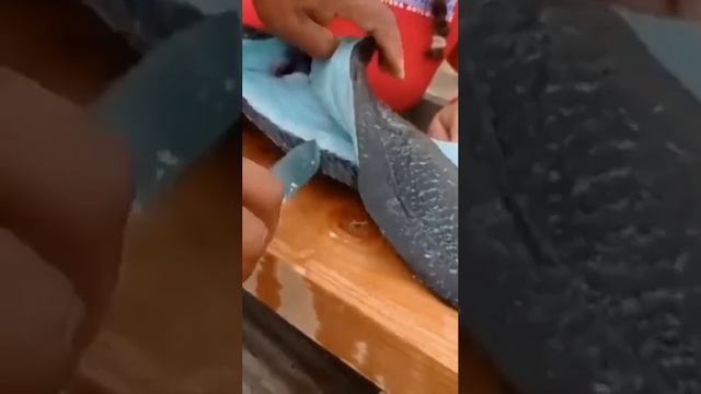 VID_20221218_181624_776.mp4