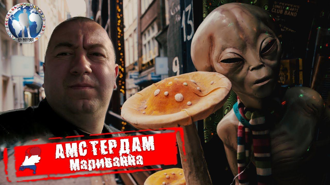 Амстердам 🇳🇱 Голландия. Марихуана. Страна дури 💯Алекс Авантюрист