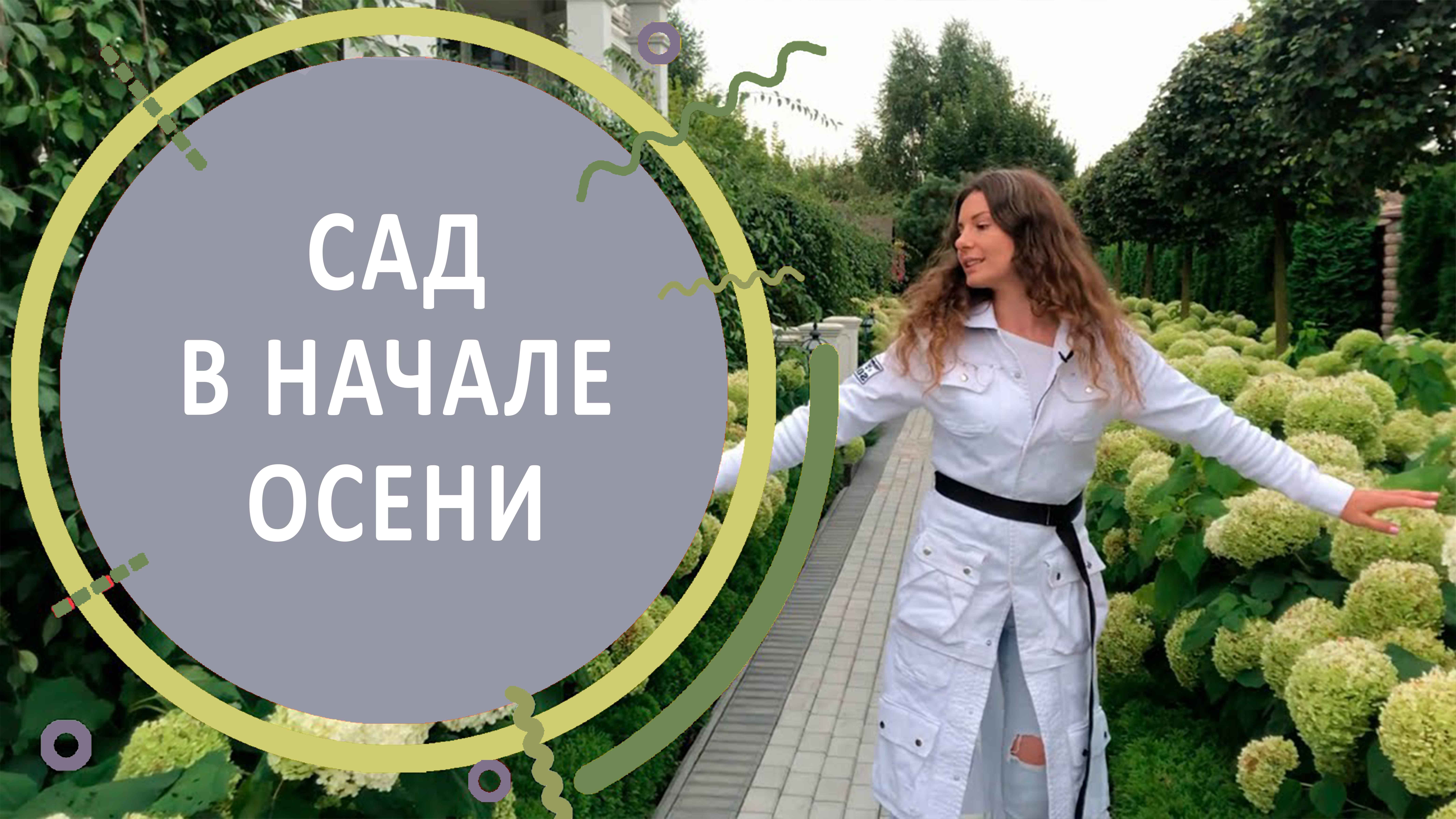 Обзор сада в Подмосковье в начале осени