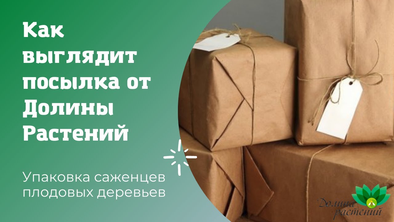 Как выглядит посылка от Долины Растений?
