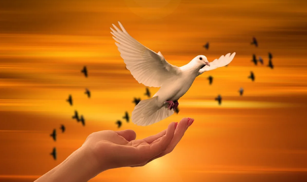 Счастье пролетало мимо птицей