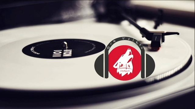 Dim Volkov - Disco House Music Mix Vol 7