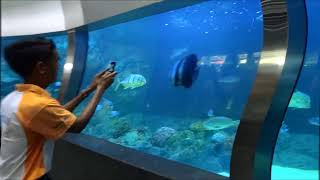 ТАИЛАНД ПХУКЕТ АКВАРИУМ