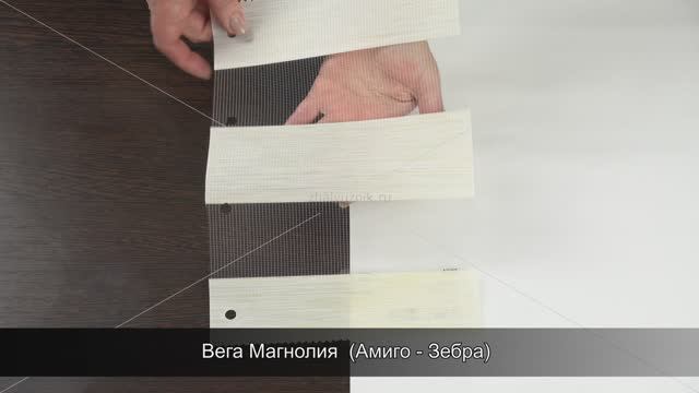 Вега Магнолия  (Амиго - Зебра)