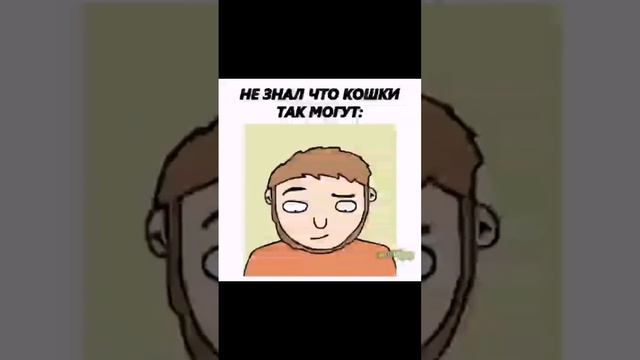 Держит хвост.