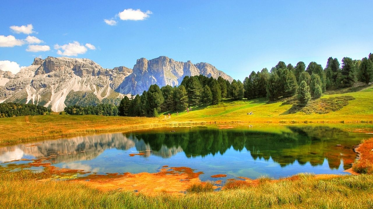 Хорошего дня! Солнечный осенний день