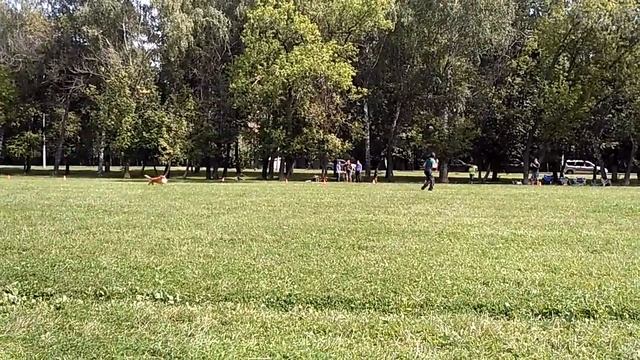 Алия и толлер Ирвин. Фризби-Фристайл..mp4