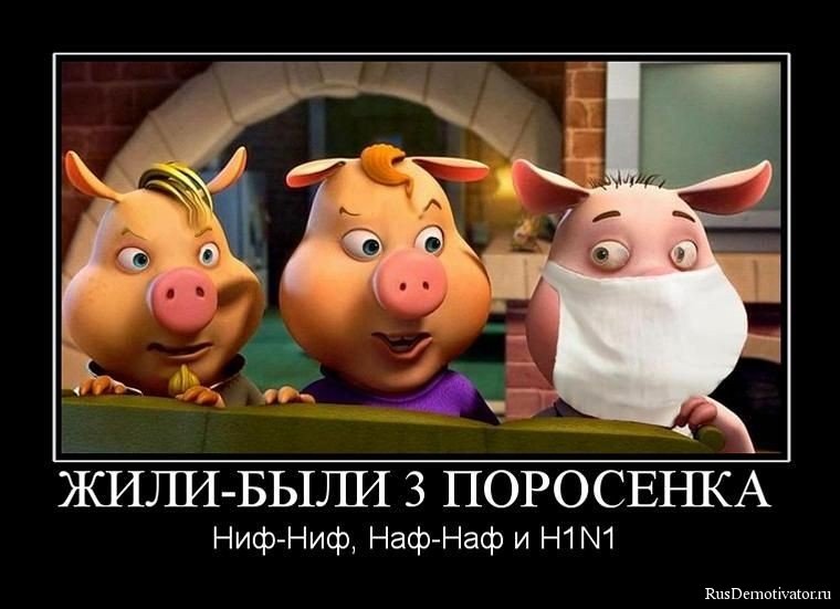 про свиней 1