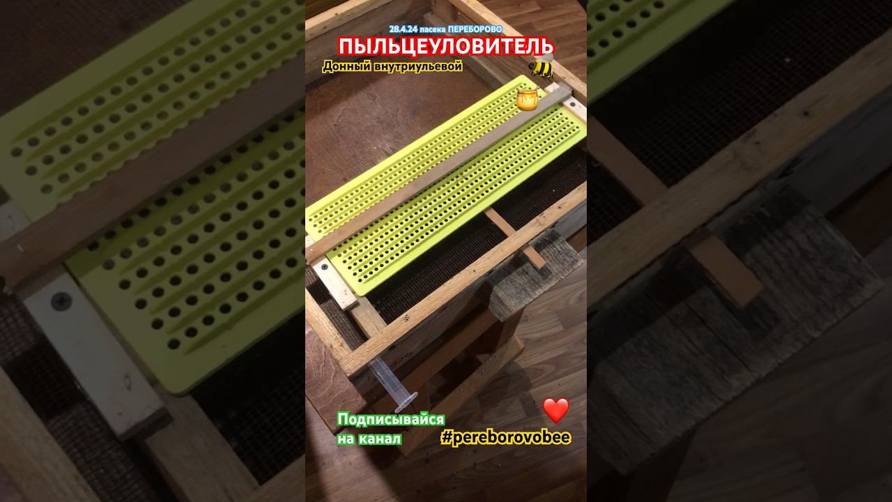 ПЫЛЬЦЕУЛОВИТЕЛЬ!ПЧЕЛОВОДСТВО! #pereborovobee #пасека #пчеловодство #матковод #пыльца #перга #улей