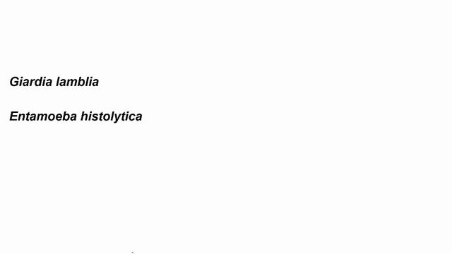 USMLE RX - 7.Микробиология - 5.Паразитология - 4.Простейшие- Желудочно-Кишечные инфекции