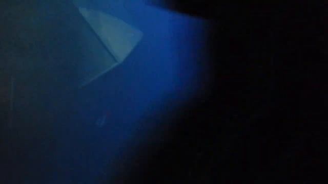 СОБАКИ ТАБАКА-Чужие