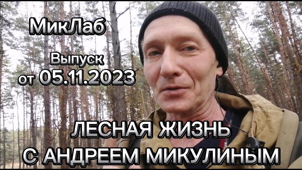 Лесная Жизнь с Андреем Микулиным. Выпуск от 05.11.2023. МикЛаб