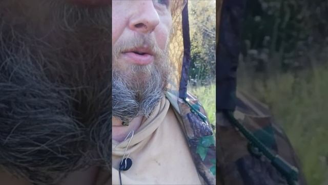 Мухоморы. Родник. Педалю домой