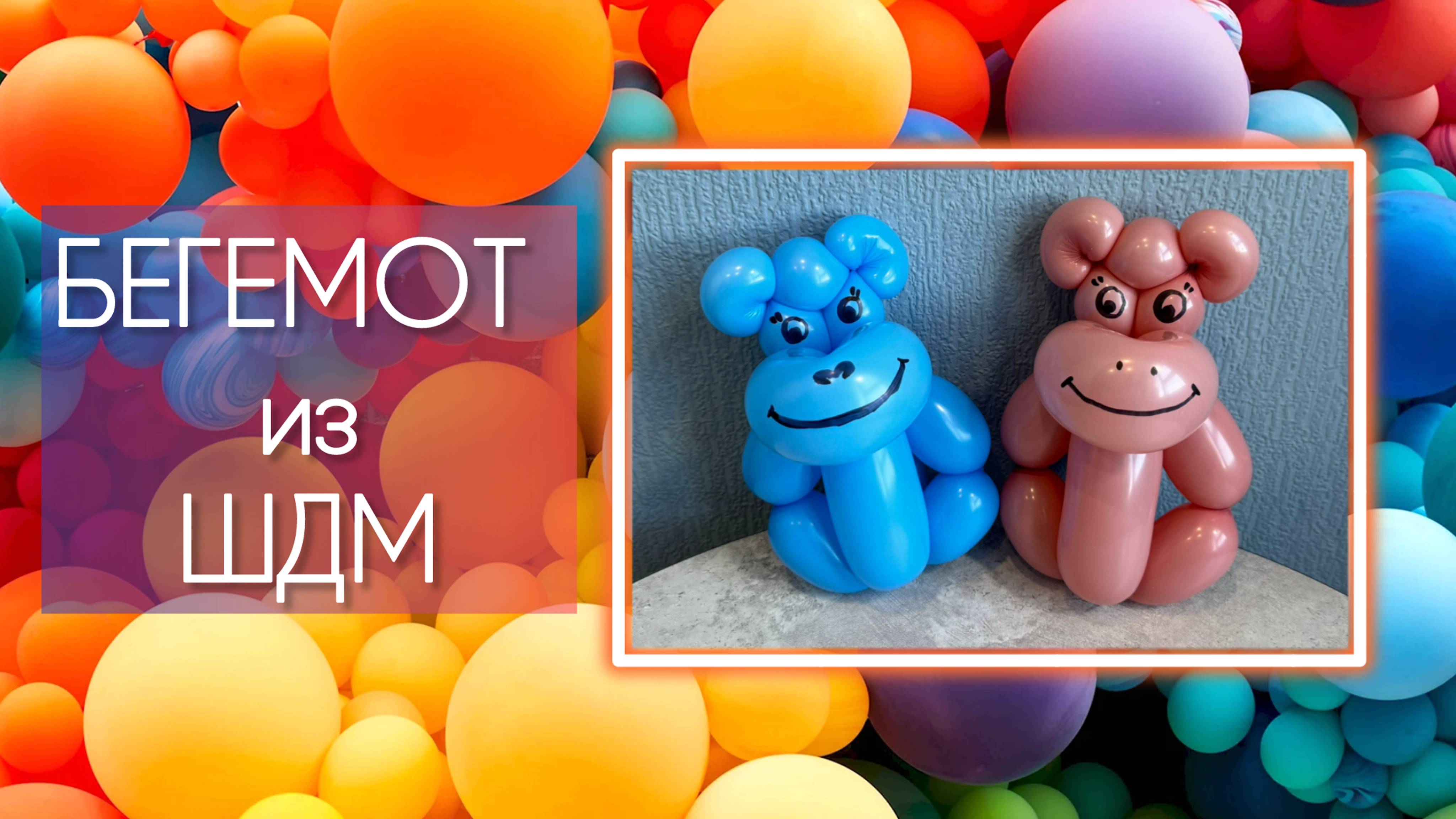 Бегемот из воздушного шарика ШДМ