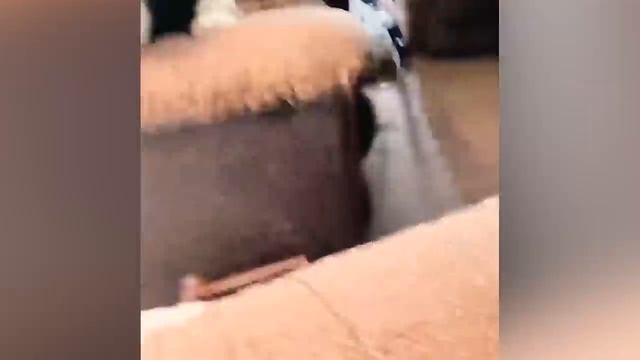 Приколы (подборка) 65