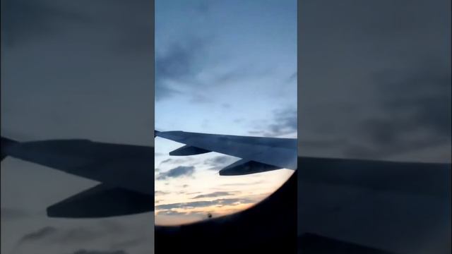 Облака. Самолёт. Александра Миркушова