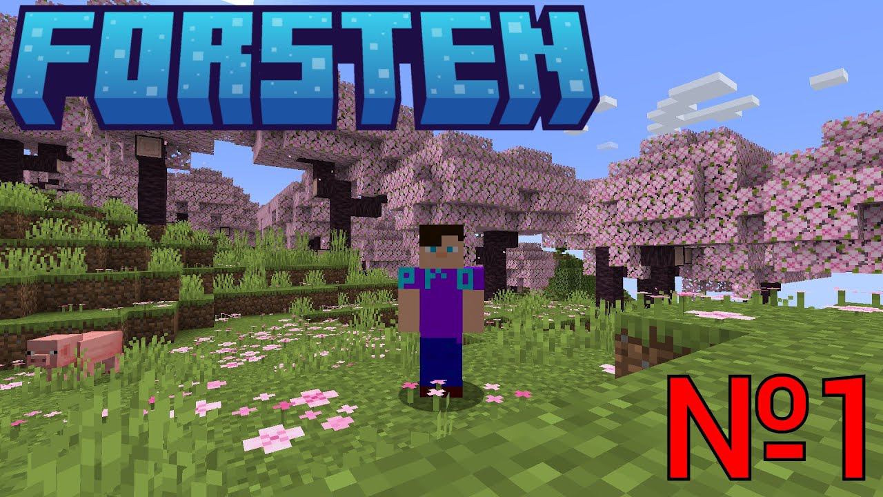 Меня пригласили на приватный сервер | Forsten 2 сезон №1