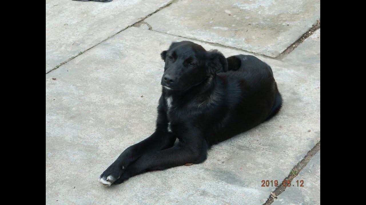 Жулька   модель)))