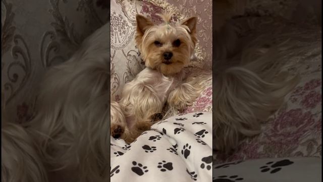 Позитивчик.