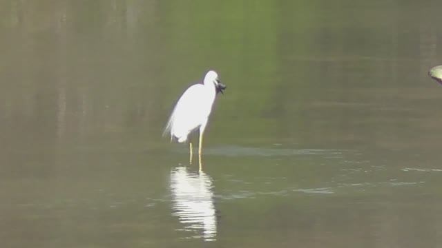 Ростовский отпуск 2023 07 часть