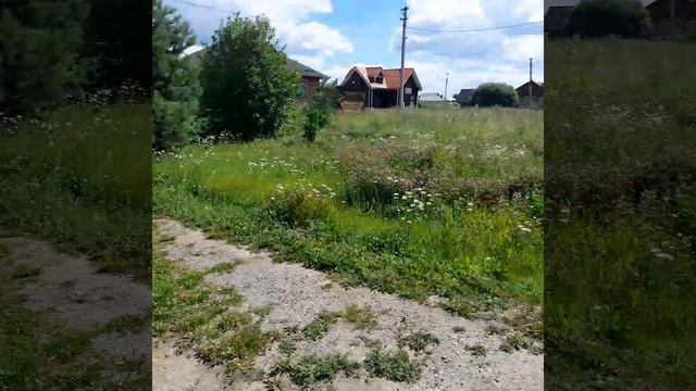 Ромашки для души.