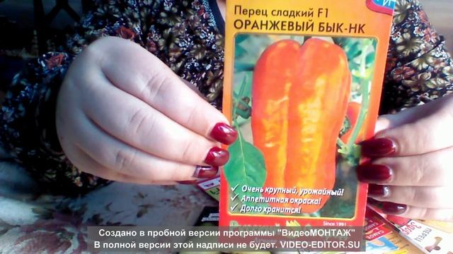 Обхор семян перца. Часть 2.wmv