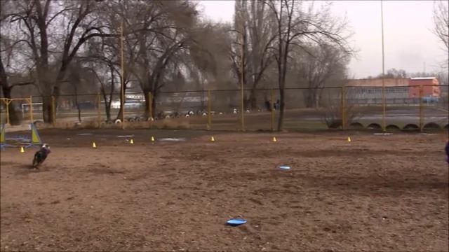 Фризби Вебстайл 2015  Екатерина и Грейс.mp4