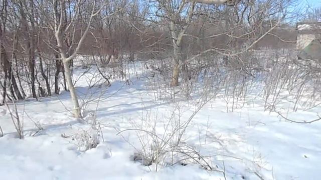 Осмотр Участков _ _ 05.02.2019 (2)