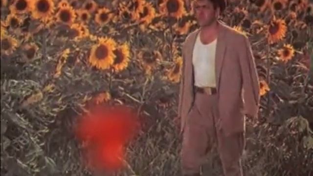 Людмила Марченко (вокал - Любовь Лазарева) - Я любил одну милую...