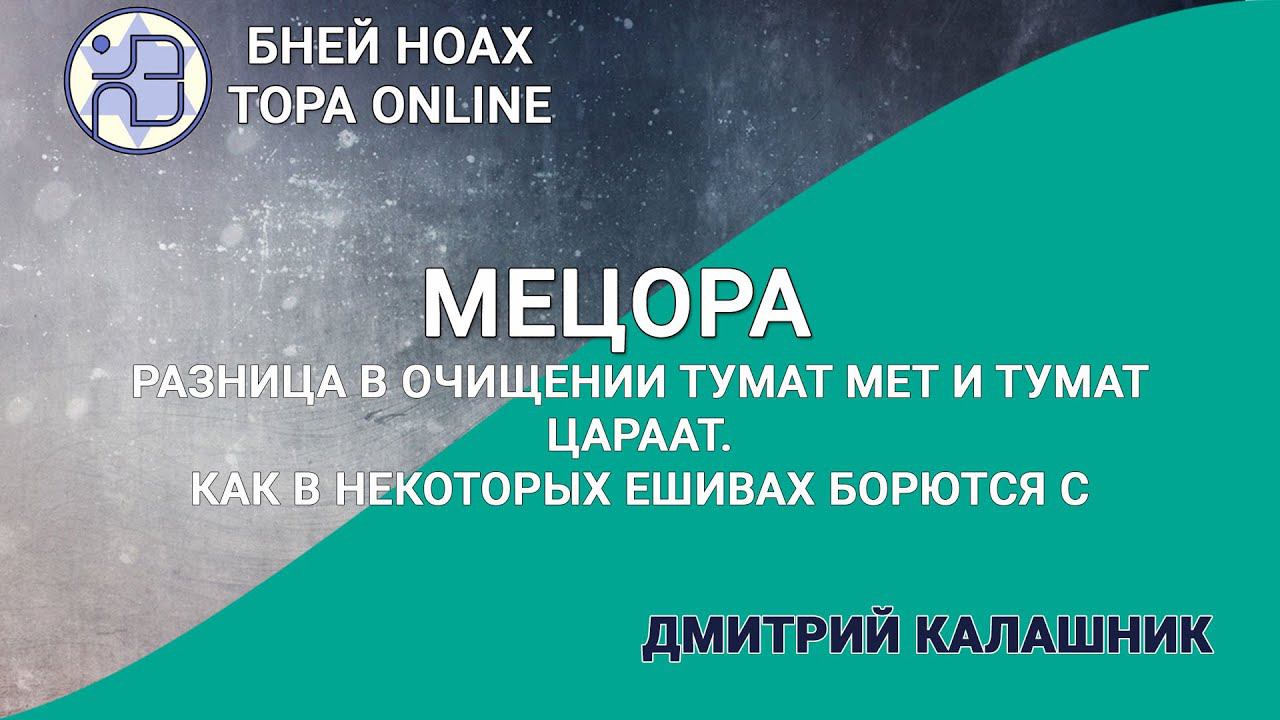 Разница в очищении тумат мет и тумат цараат. Как в некоторых ешивах борются с гордыней? Мецора
