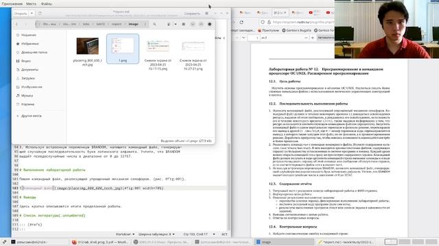 Лабораторная работа 12. Отчет.