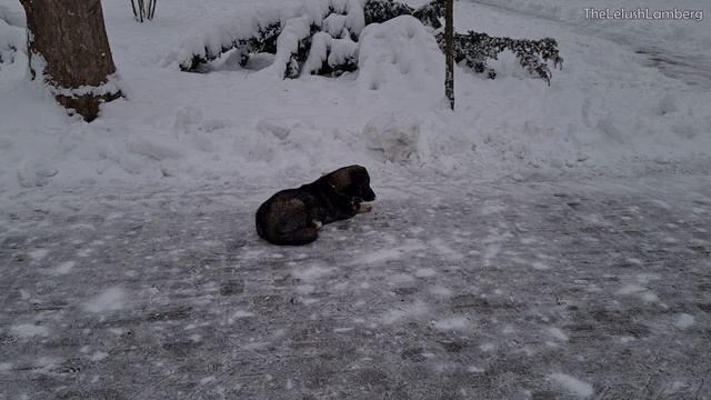 World in Emotion #38 Snowy Winter