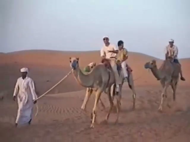 Объединённые Арабские Эмираты. Шарджа. 1995 г.