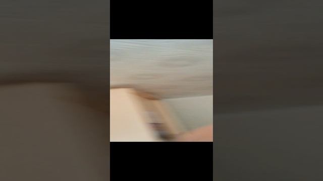 Обзор на Проходимца и Болтушку(дибилов)