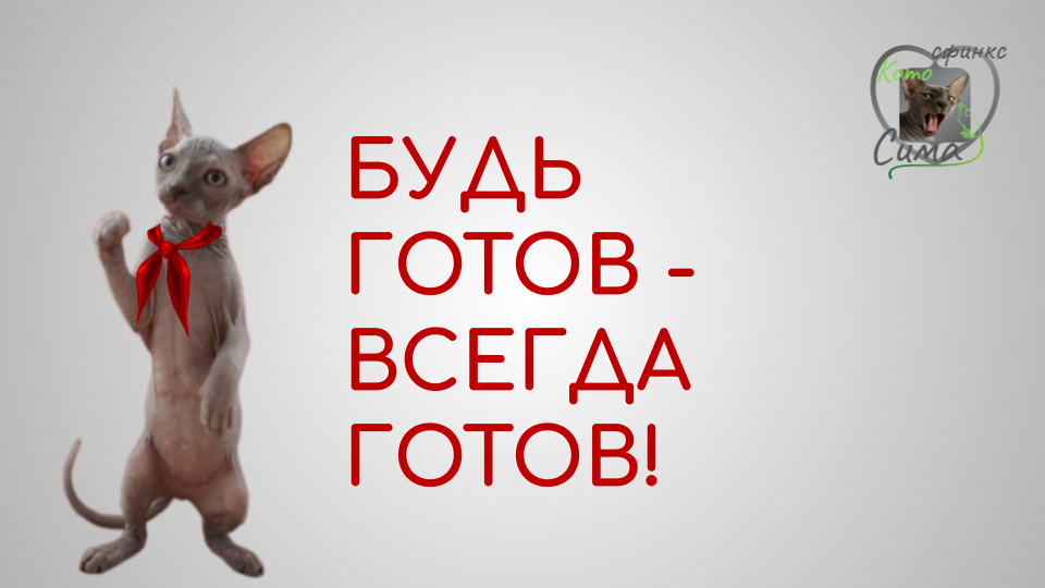 БУДЬ ГОТОВ! ВСЕГДА ГОТОВ!
